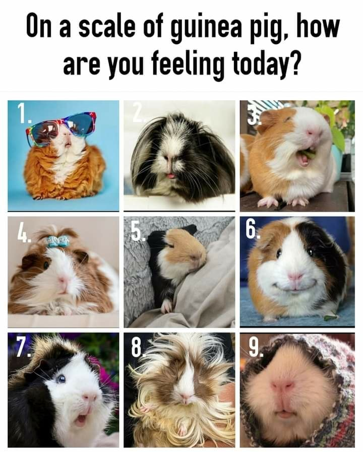 Scales - a Useful and Fun Tool! - Engaging Play